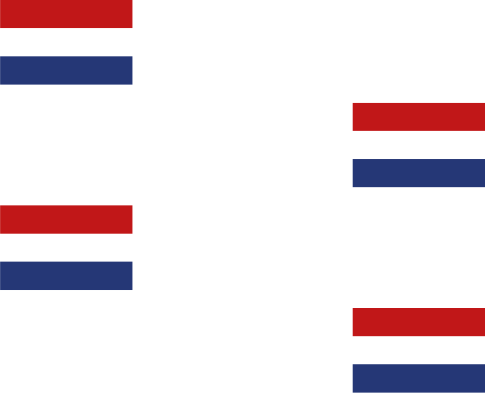 Naamsticker Nederland met chique lettertype - Plakjestickers
