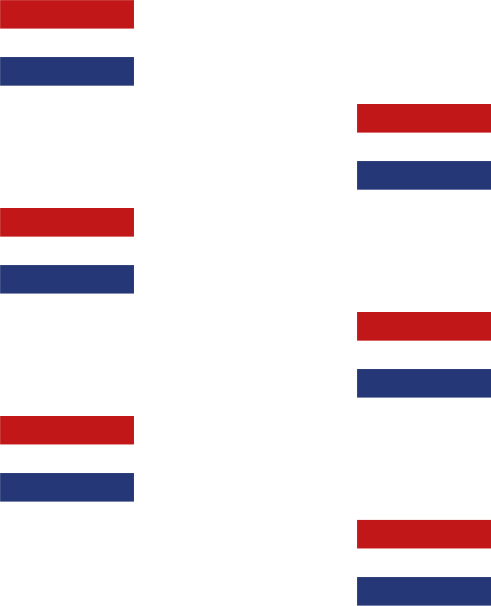 Naamsticker Nederland met chique lettertype - Plakjestickers